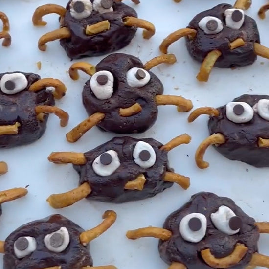 Chocolate Chip Spider Energy Balls